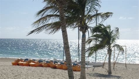 What Seniors Deserve The Truth