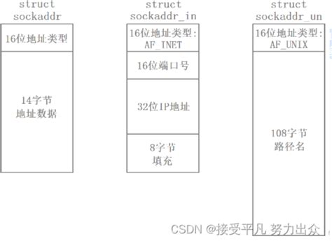 网络篇第五篇网络套接字编程 一 socket详解 阿里云开发者社区