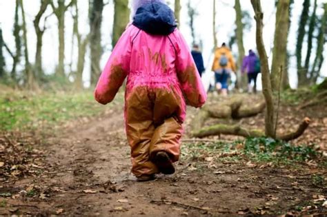 Educating The Next Generation Forest Schools Forest Canopy Foundation