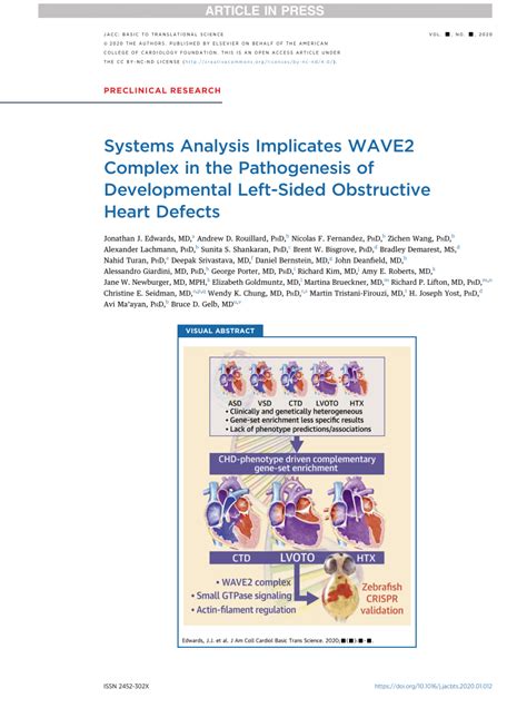 Pdf Systems Analysis Implicates Wave2 Complex In The Pathogenesis Of Developmental Left Sided