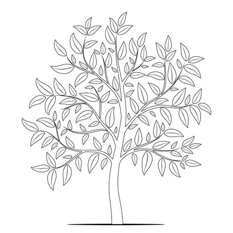 Tree With Leaves Outline On White Background Vector Stock Vector Illustration Of Drawn White