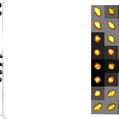 8 Diffusion Spectrum Imaging Q Ball Imaging A DSI Diffusion PDFs
