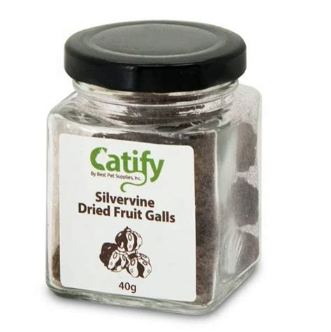 Purr Fect Catnip Alternatives For Cats Who Dont Dig Catnip Vetstreet Vetstreet