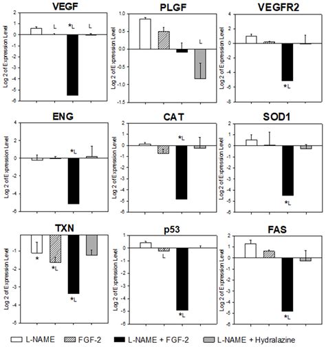 Evaluation Of The Effect Of The Fibroblast Growth Factor Type 2 Fgf 2