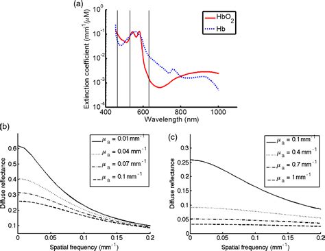 Visible Spatial Frequency Domain Imaging With A Digital Light Microprojector