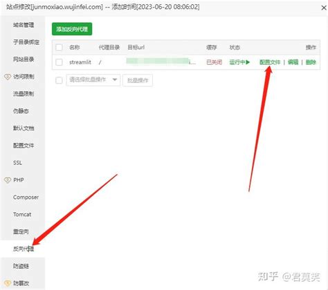 python streamlit部署到服务器，实现域名80端口访问（宝塔面板）！ 知乎