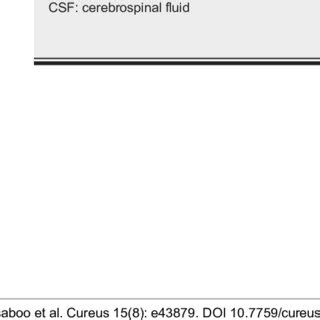Cerebrospinal Fluid Analysis On Presentation Download Scientific Diagram
