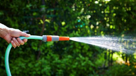 Is It Safe To Drink From A Hose A Warning From A Doctor Homes And