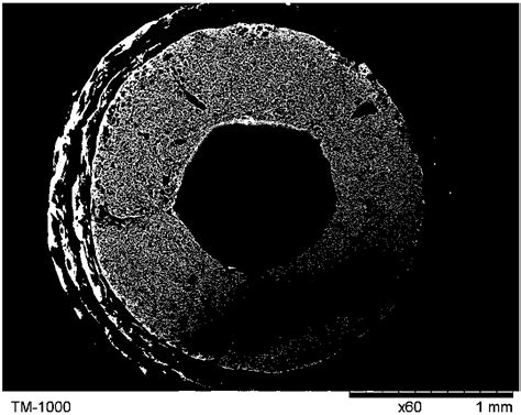Fluorinated Ethylene Propylene Hollow Fiber Membrane And Preparation