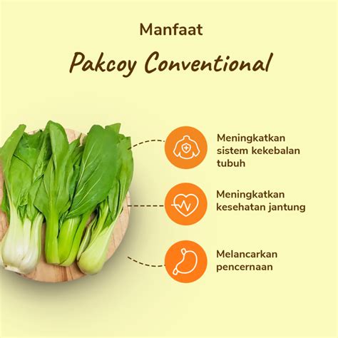 Pakcoy Konvensional Astro Farm 200gram Astro