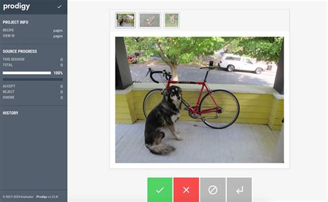 how to go to a specific annotation usage prodigy support