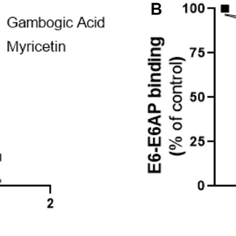 Summary Of High Content Screening Strategy Screening Funnel Scheme