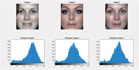 Histogram Based Representation Of Person 1 Download Scientific Diagram