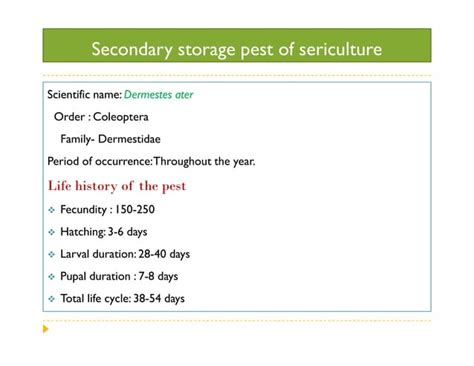 Storage Grain Pests Secondary Storage Pests Pdf