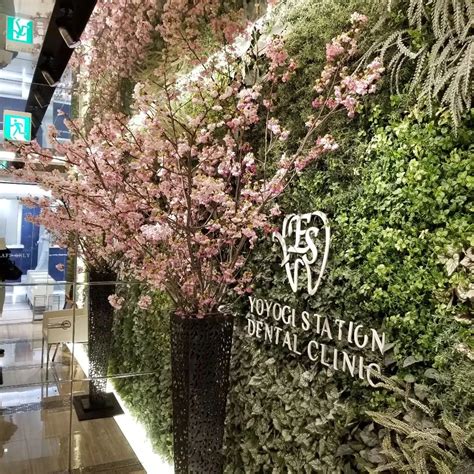 今年の代々木の桜も綺麗でした！ ブログ 浜松市浜名区浜北区の歯医者ならホワイトニングが得意な佐田歯科医院