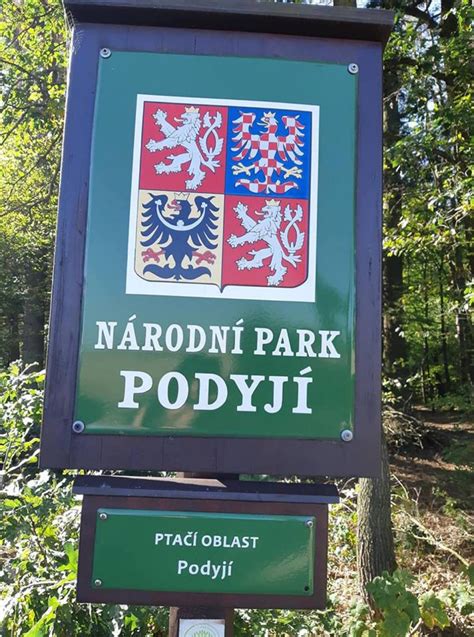 Dofe Silver Czech Republic Gallery Cambridge International School