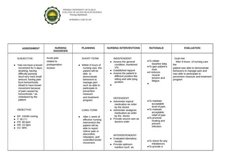 Ncp Template Funda Rle Phinma University Of Iloilo College Of Allied