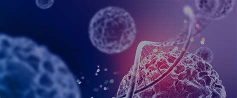 纳米抗体 普瑞金