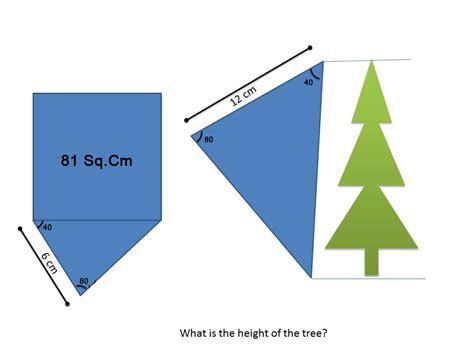 Find The Height Of Tree Apekx Math Rebus