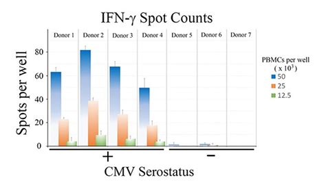 A Highly Sensitive Ifn γ Elispot Assay To Quantify Cellular Immune