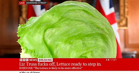 Tory Government Hits Iceberg Album On Imgur