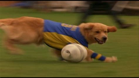 Air Bud World Pup Alchetron The Free Social Encyclopedia