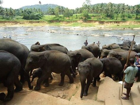 Ceylon Island Travel (Colombo) - ATUALIZADO 2022 O que saber antes de ...