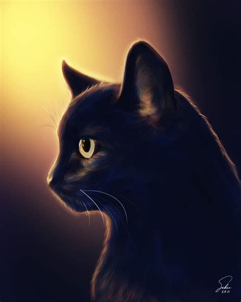 Black Cat Jinx Portrait By Cierinblue On Deviantart