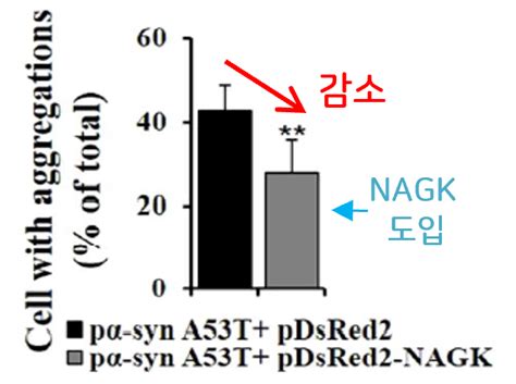 퇴행성 뇌 질환 치료용 조성물 링크온비즈 기술거래