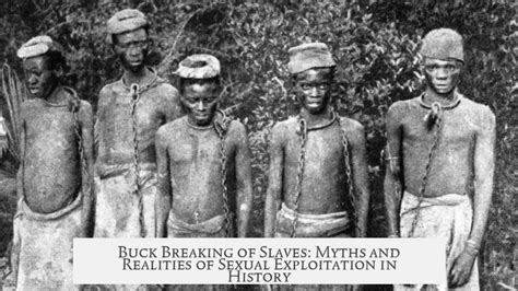 Buck Breaking Of Slaves Myths And Realities Of Sexual Exploitation In