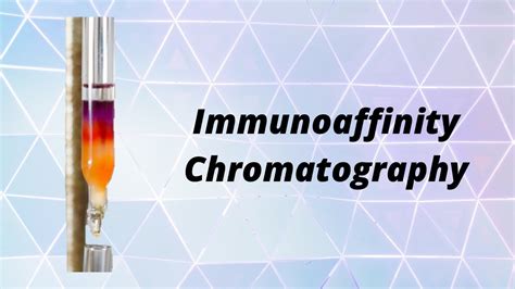 Immunoaffinity Chromatography Youtube