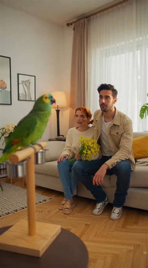 Cuminte Ca Un Inger E Paco Tineri Romani Facebook