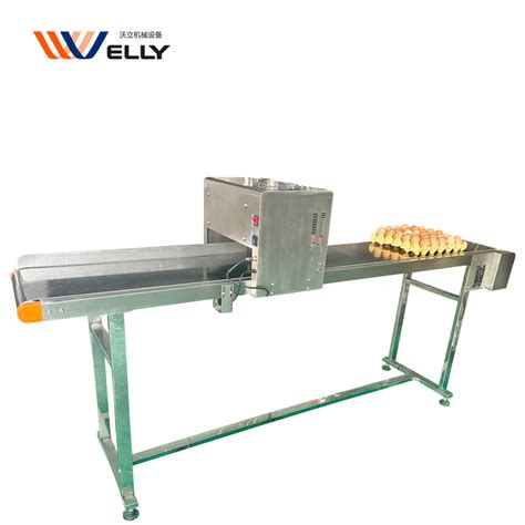 High Speed Laser Duck Egg Coding Cartridg Eggs Date Printer Machine Laser Duck Egg Coding