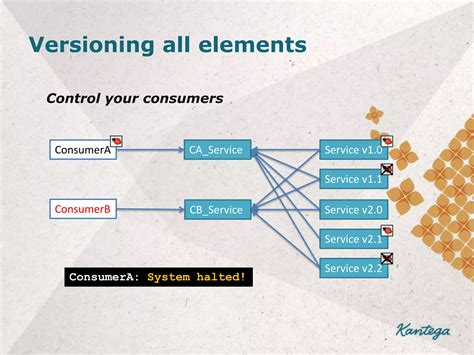 Lessions Learned Service Oriented Architecture Pptx
