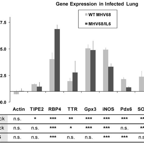 Mhv 68 Infection Upregulates Stress Response Genes In The Lungs Of