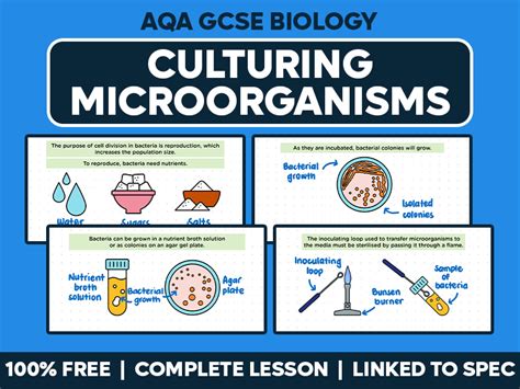 Gcse Aqa Biology Complete Lesson Culturing Microorganisms Teaching