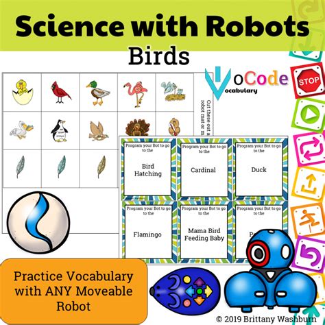 CODING IN SCIENCE Birds Technology Curriculum