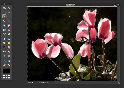 Quitar fondo de una imagen online fácil y gratis