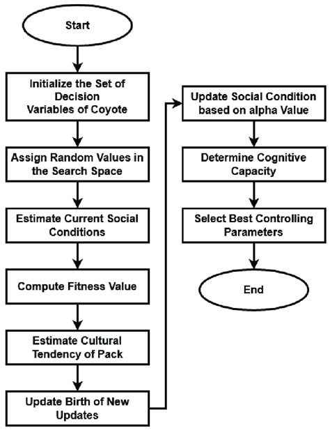 Flow Of The Co Algorithm Download Scientific Diagram