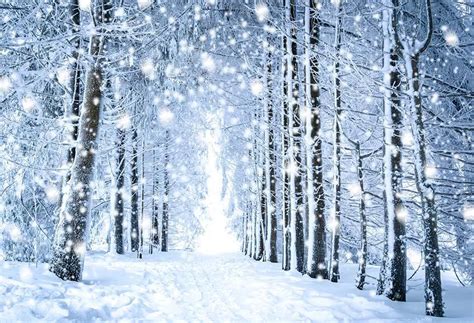 Beautiful Snowy Christmas Scene Magical Christmas Night With Bright