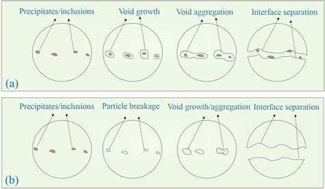 Schematic Diagram Of The Nucleation Of A Void On The Fracture Surface
