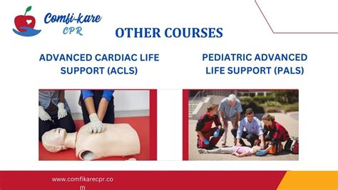 Ppt Basic Life Support Certificate Course In Frederick County Powerpoint Presentation Id