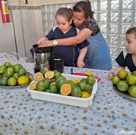 Matéria Infantil Ii A Atividade Refrescante Fazendo Suco E Picolé