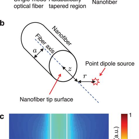 Nanofiber Tip Based Coupling Of Photons From A Single Quantum Emitter Download Scientific