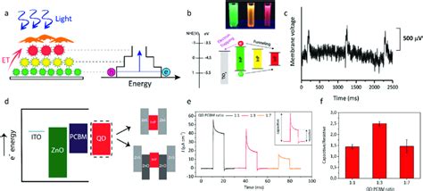A Artificial Antenna Complexes Made Of Rainbow Inp Quantum Dots