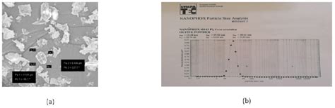 A Size Of The Coarse Particles Measured Using Fesem And B Size Of