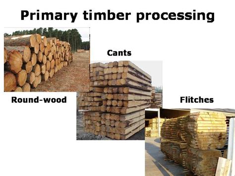 What Is Processing Of Timber At Clara Brittain Blog