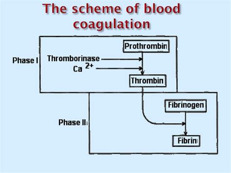 Blood Biochemistry Online Presentation