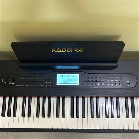Buy Used Kadence Dp02b 88 Key Digital Piano Online Bajaao Used Gear