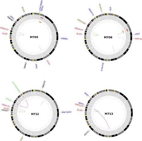 Somatic Mutations In Whole Genome Sequenced Amkl Cases Plots Depict Download Scientific Diagram